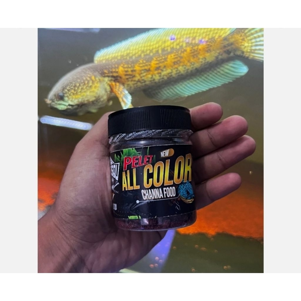 PELET ALL COLOR by BOS BOS QU (pigmen All color)semua jenis ikan/untuk ...