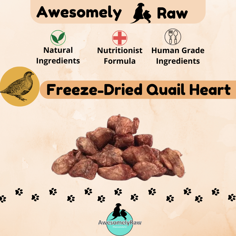 Freeze-dried Quail Heart Pet Snack Pet Dog Cat Treats 宠物零食 鹌鹑心冻干 手工零食 ...
