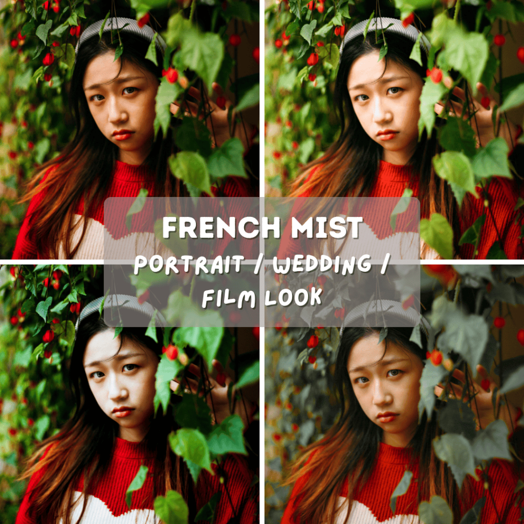 IV24 French Mist | Lightroom Preset (Portrait / Wedding / Film Look) | Shopee Malaysia