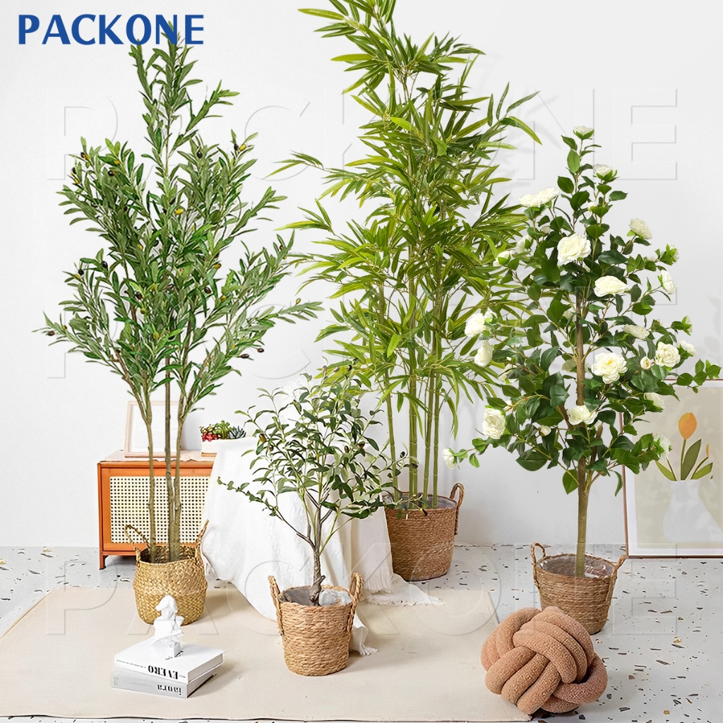 pokoks Malaysia, Best Deals May 2026 | Shopee Malaysia