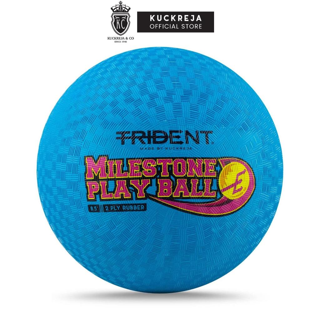 Buy dodgeball ball Online With Best Price, May 2026 | Shopee Malaysia