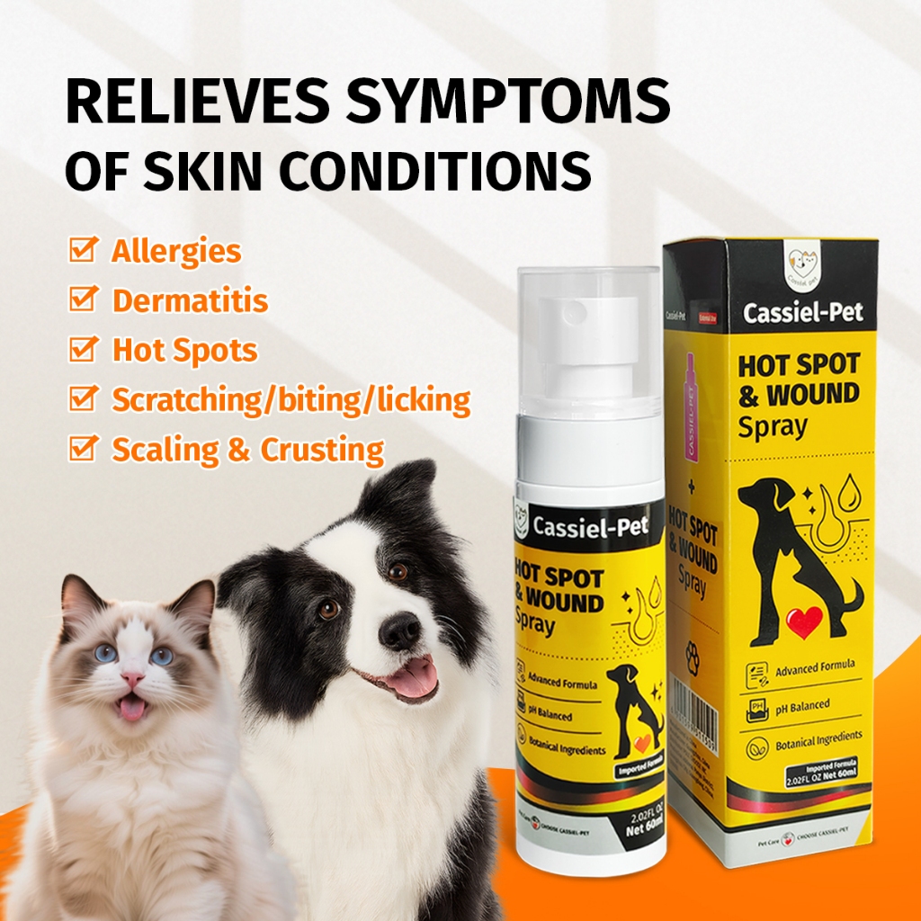 Cassiel Pet Antifungal Wound Spray For Itching, Ringworm, Mange for ...