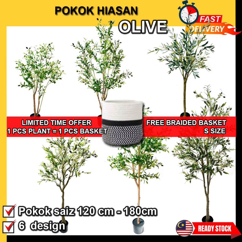 Artificial Plant Olive Tree Pokok Hiasan Pokok Olive Pokok Zaitun ...