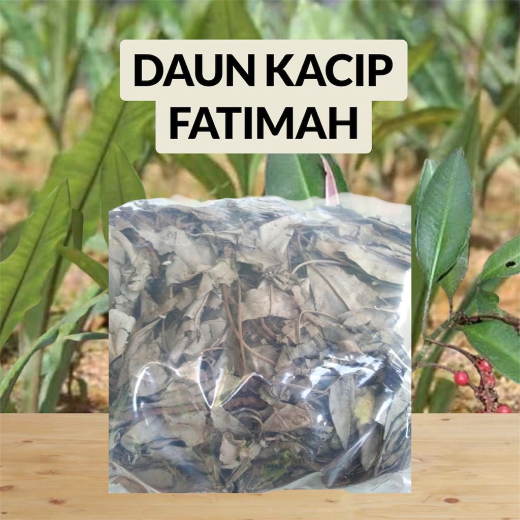 DAUN KACIP FATIMAH 100g | Shopee Malaysia