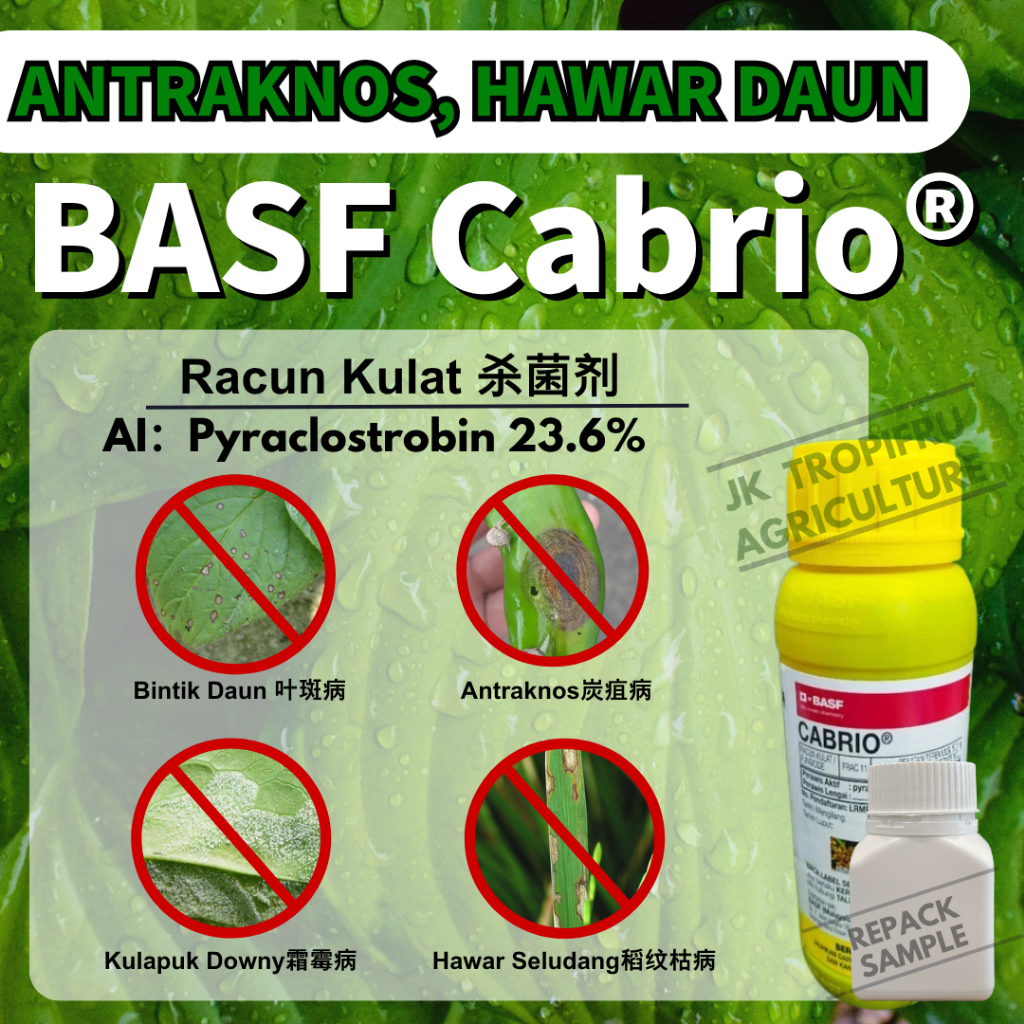 【Antraknos炭疽病/Hawar Daun烂叶病】BASF Cabrio®【REPACK】Pyraclostrobin 23.6% ...
