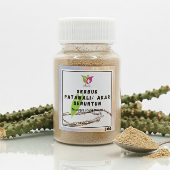 Serbuk Akar Seruntun / Patawali Asli dalam Botol (30g) | Tinospora ...