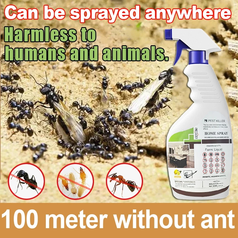 Ant Exterminator WR Ant killer Ant spray killer Ant killer spray ...