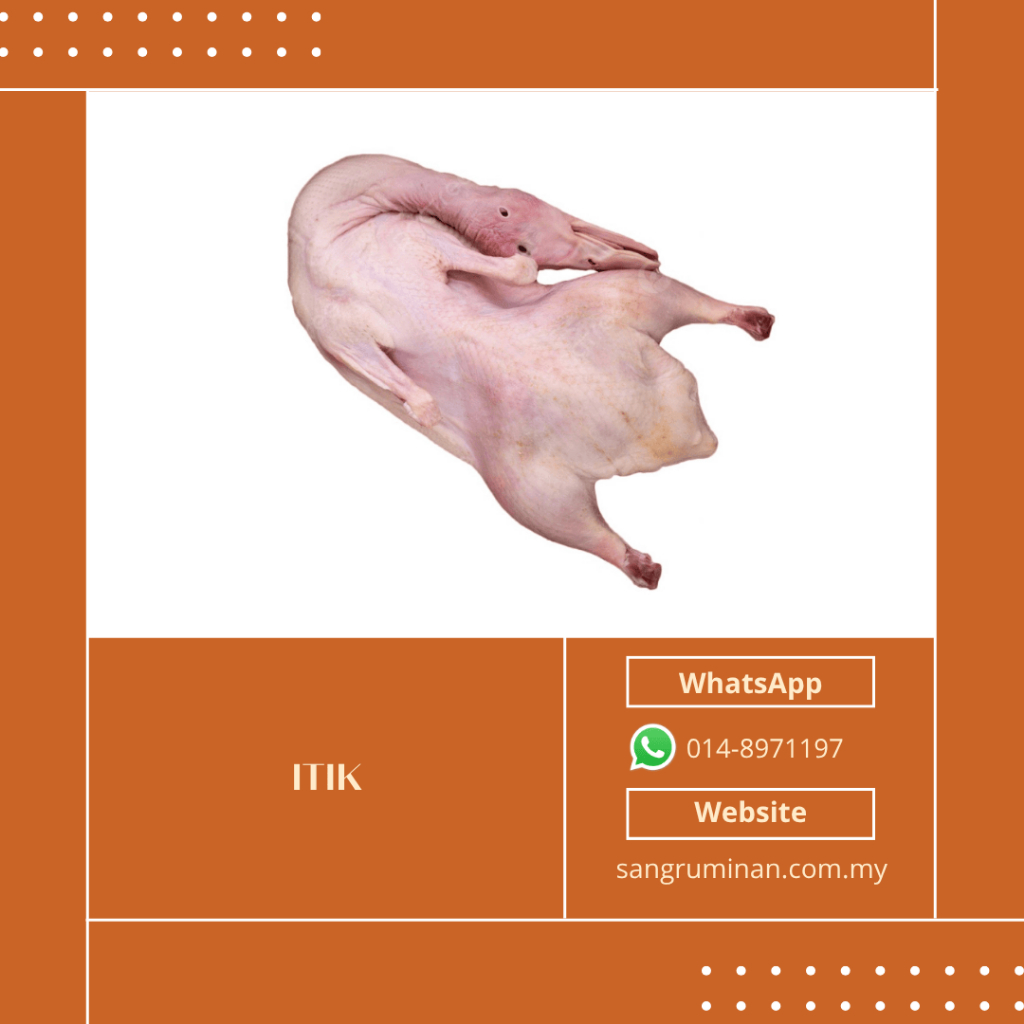 (Frozen) Itik / Whole Duck 2.2kg - 2.5kg | Shopee Malaysia