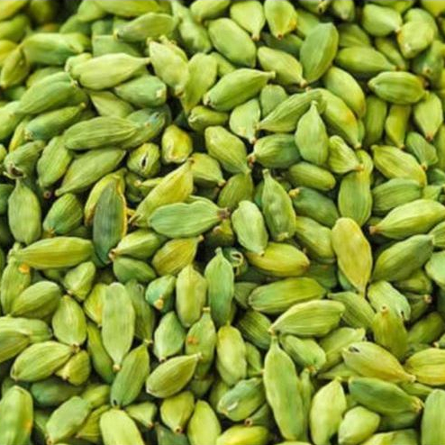 Green Cardamom / Buah Pelaga / Elakkai / Ilaichi | Premium 7mm (100 ...