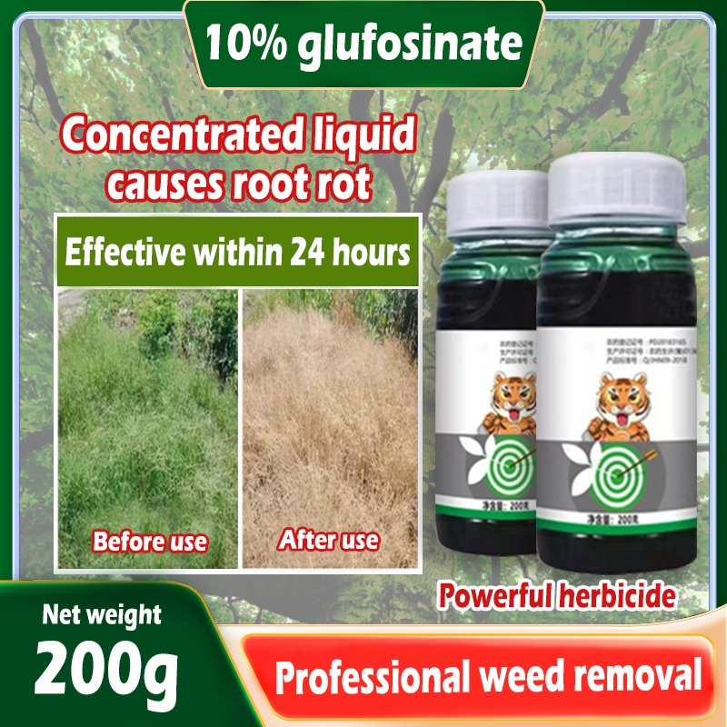 Powerful Tree Killer (200g) – Big Trees Root Rot Herbicide | Racun ...