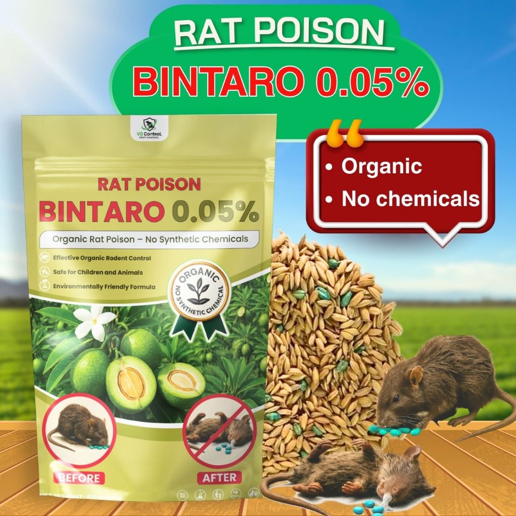 Rat Killer Poison Ubat Tikus BINTARO 0.05% Rice Grain Rodent Bait 50g ...