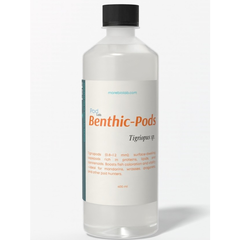PodLab Benthic-Pods – Live Copepods (Tigriopus sp.) for Reef Tanks ...
