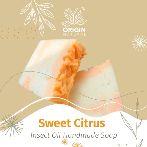 ORIGIN NATURAL Sweet Orange Handmade Soap from Eco Friendly & Nutritious Insect Butter ...