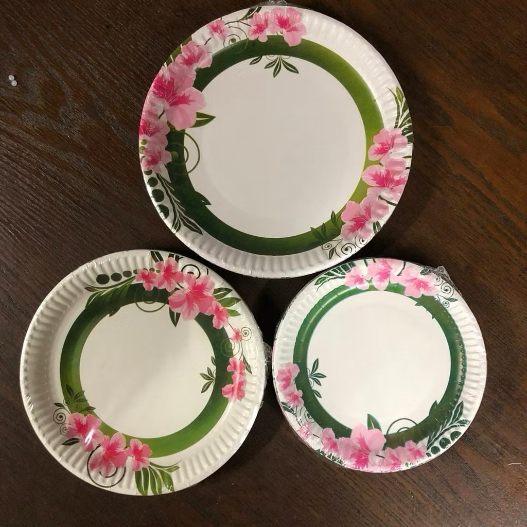 20pcs Disposable Paper Plate / Party Paper Plate /Paper Plate Buffet ...