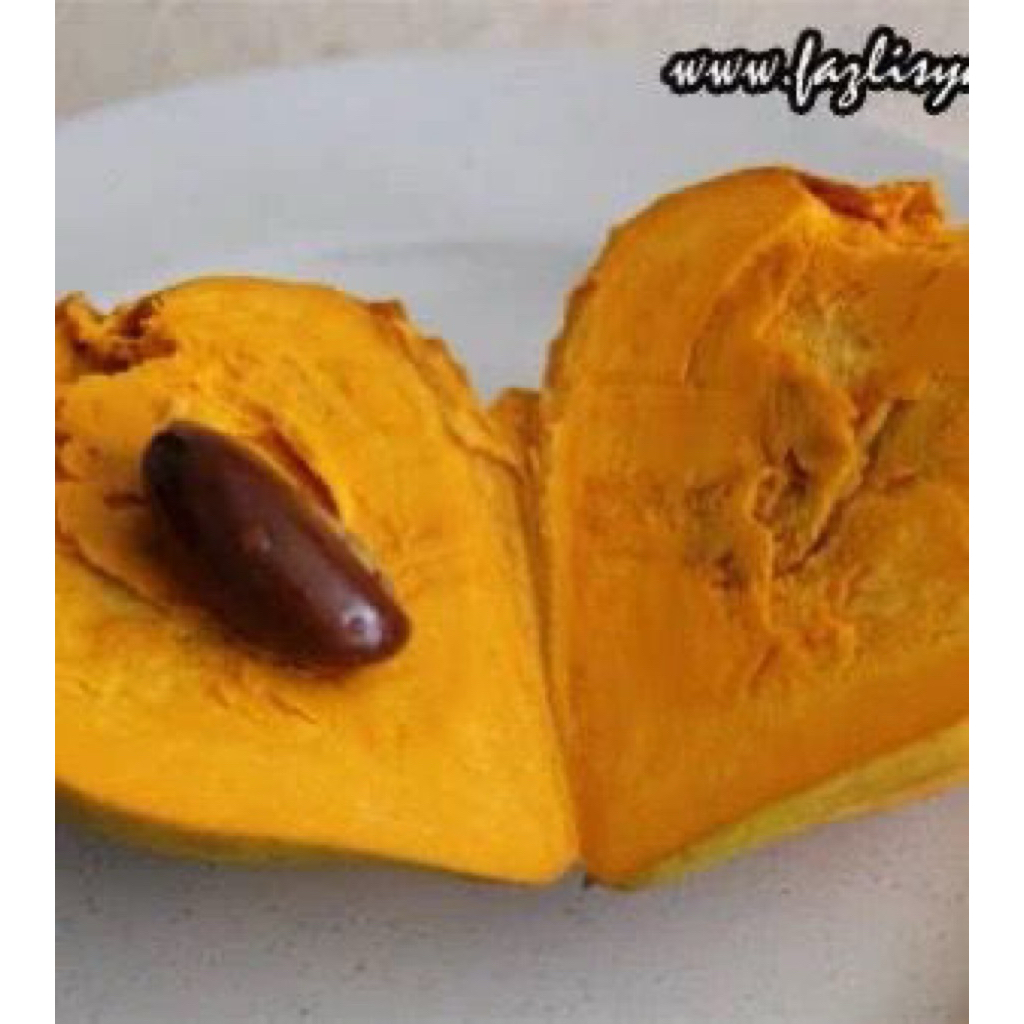 500g CANISTEL FRUIIT Buah telur kuning buah rare buah hutan jarang ...