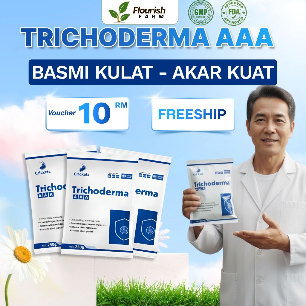 [ORIGINAL] Baja Organik Trichoderma: Rawatan Kulat Tanah, Akar Cepat ...