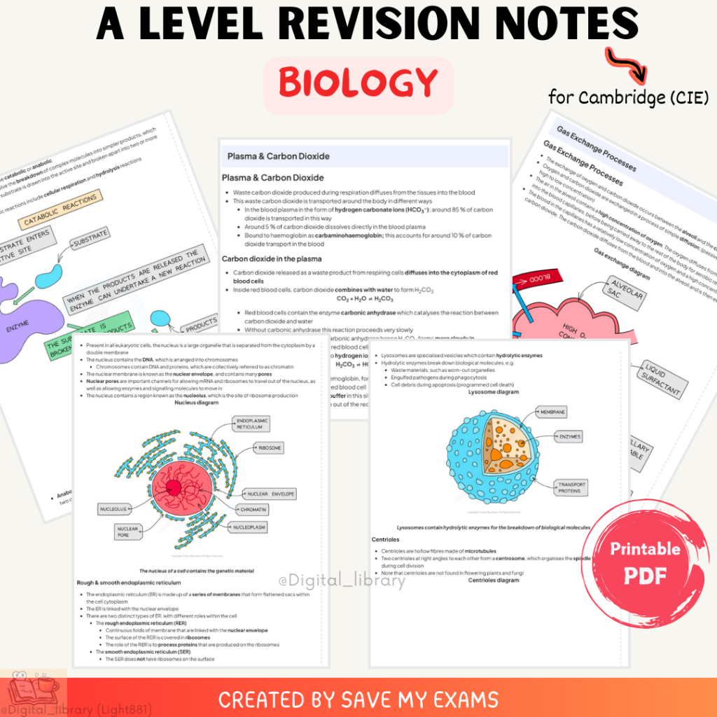 AS & A Level Biology Notes / Revision Notes (SME) | Shopee Malaysia