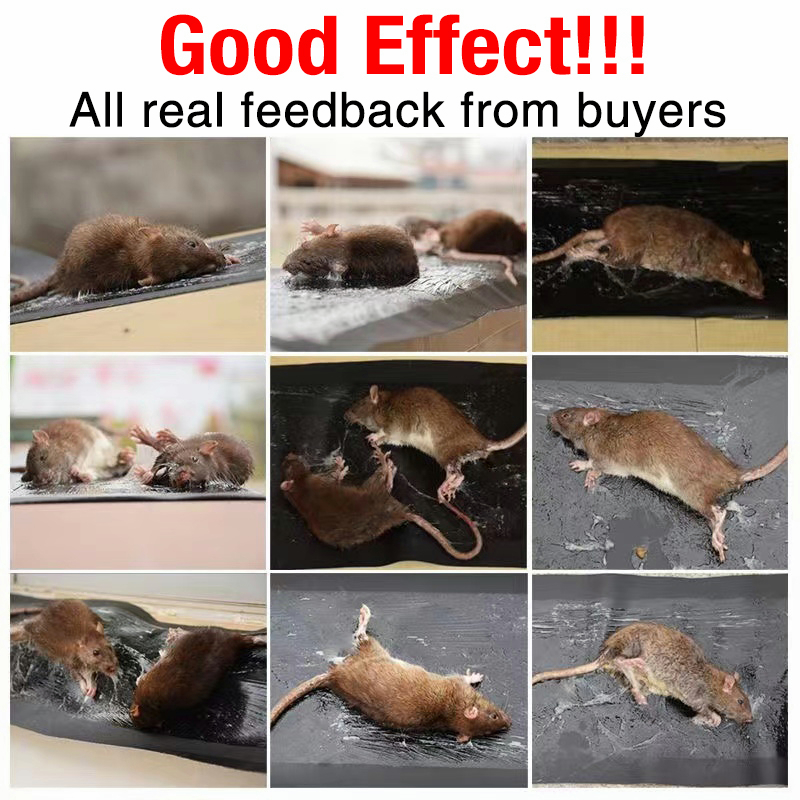 🔥WHOLESALE🔥 [120 x 28cm] Gam Tikus Rat Blanket Glue Trap Strong ...
