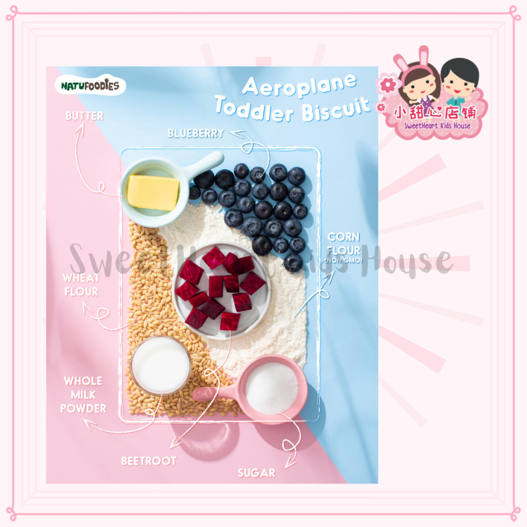 Natufoodies Aeroplane Toddler Biscuit宝宝飞机造型饼干 | Shopee Malaysia