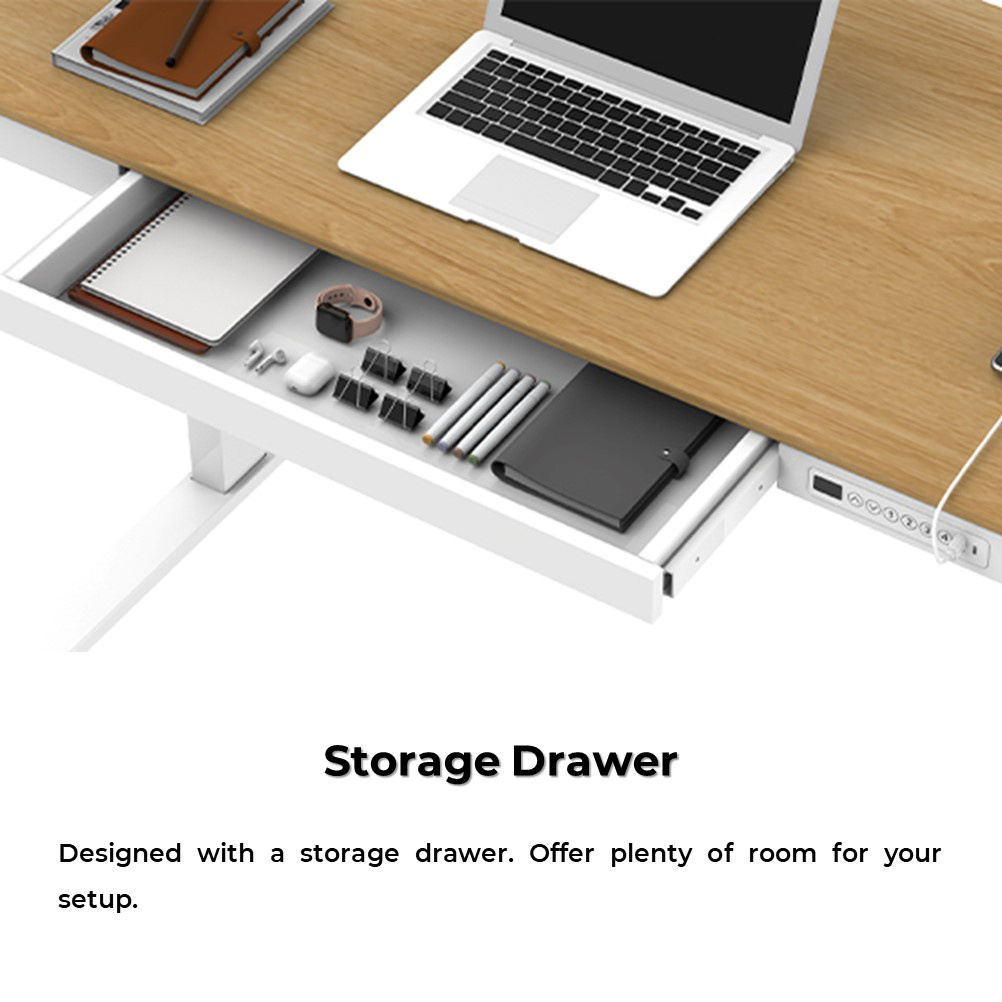 Loctek ET120&ET119W-C 120cm Height Adjustable Electric Office Computer ...