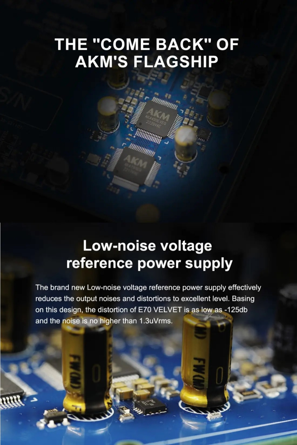 TOPPING E70V E70 Velvet AK4499EX+AK4191 DAC XU316 RCA XLR Output ...