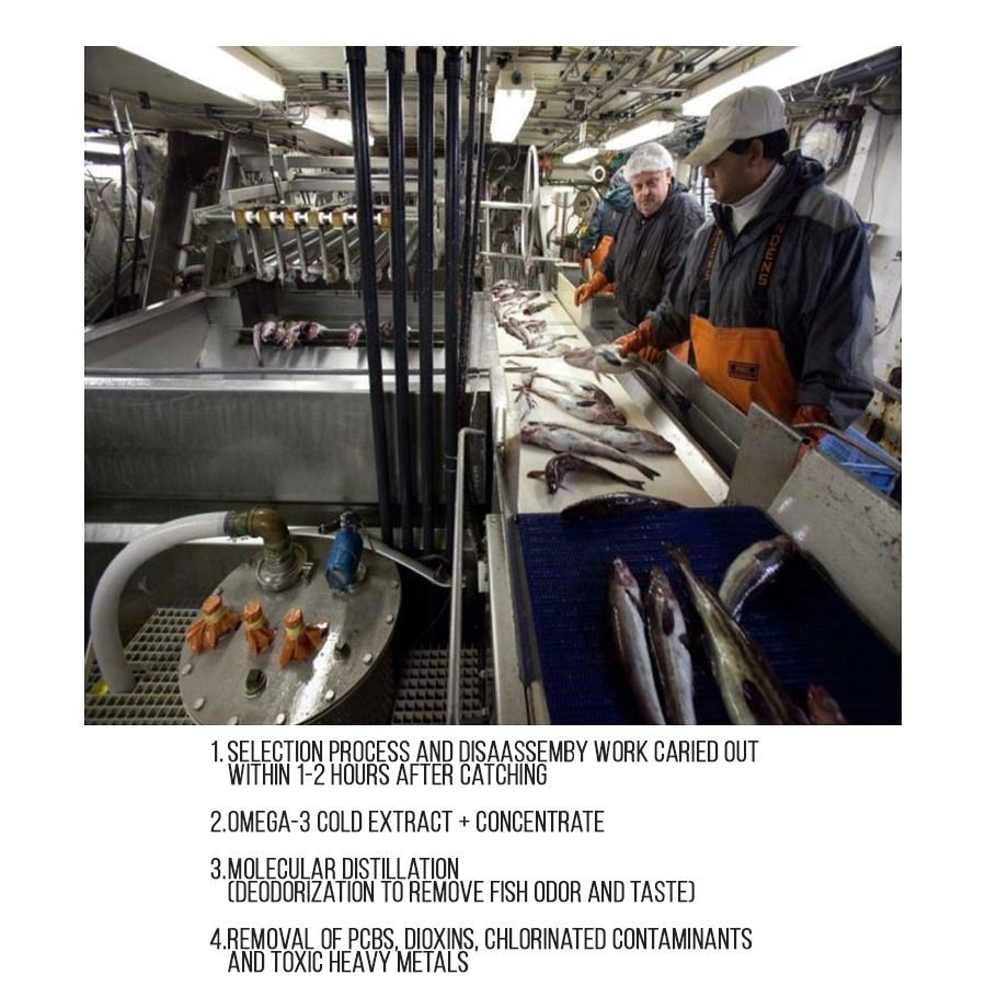 [Innerset] rTG omega3 dual EPA DHA 600mg Vitamin E, Plant base capsule (60capsule for 1month ...