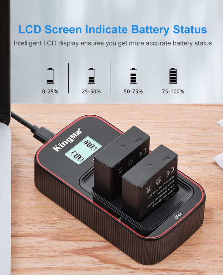 KingMa DMW-BLG10 2-Pack Battery and LCD Dual Charger Kit for Panasonic ...