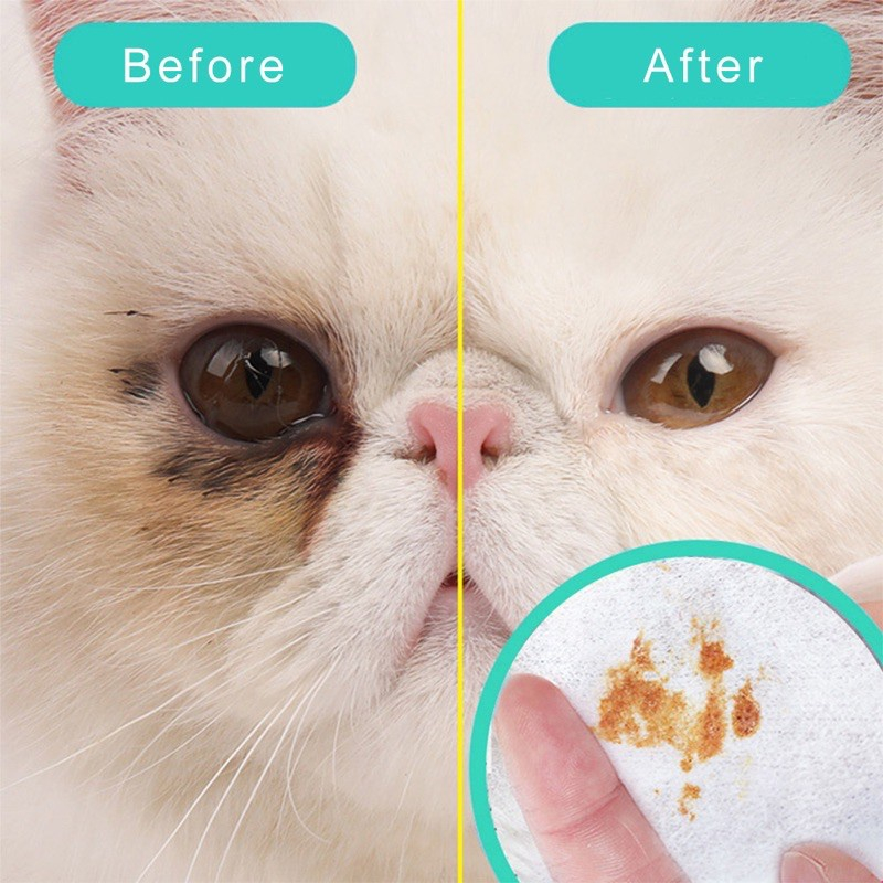 Pawpaw Pet Dog Cat Eye Ear Cleaner Wet Tissue Wipes Wipe Tear Stain ...