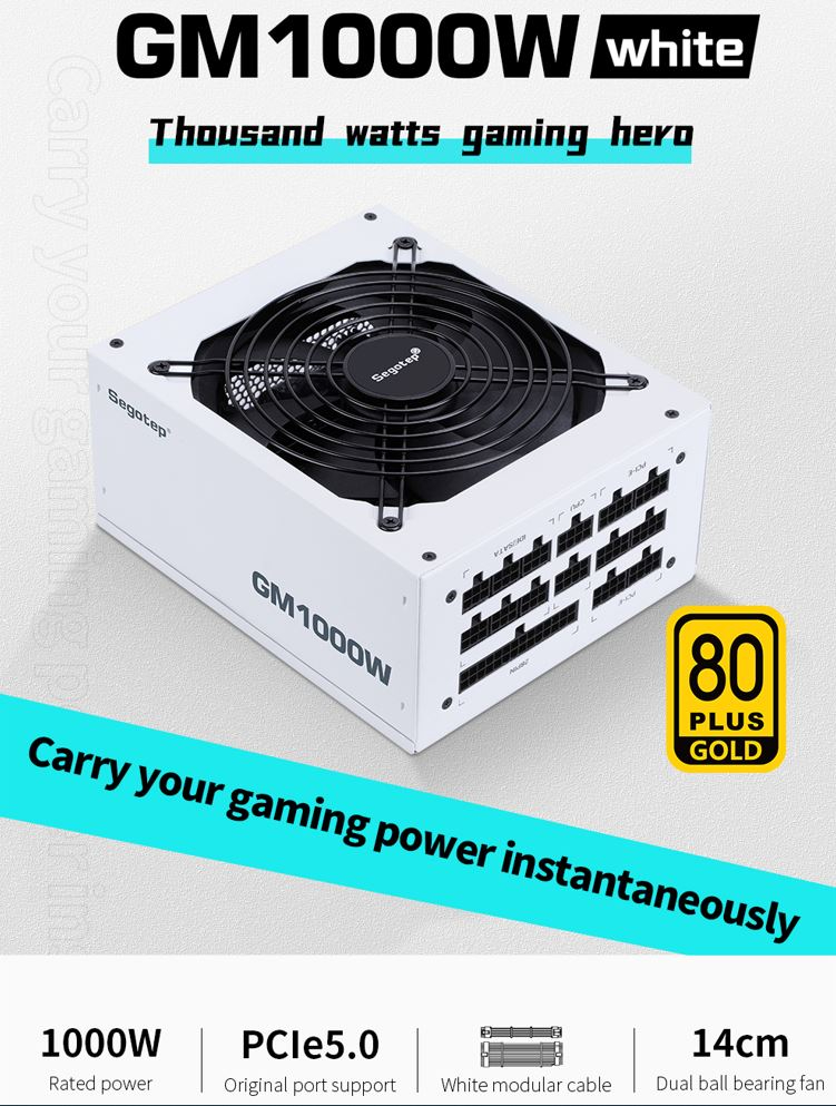 SEGOTEP GM1000W 1000W 80PLUS GOLD ATX3.0 PCIE5.0 FULL MODULAR POWER ...