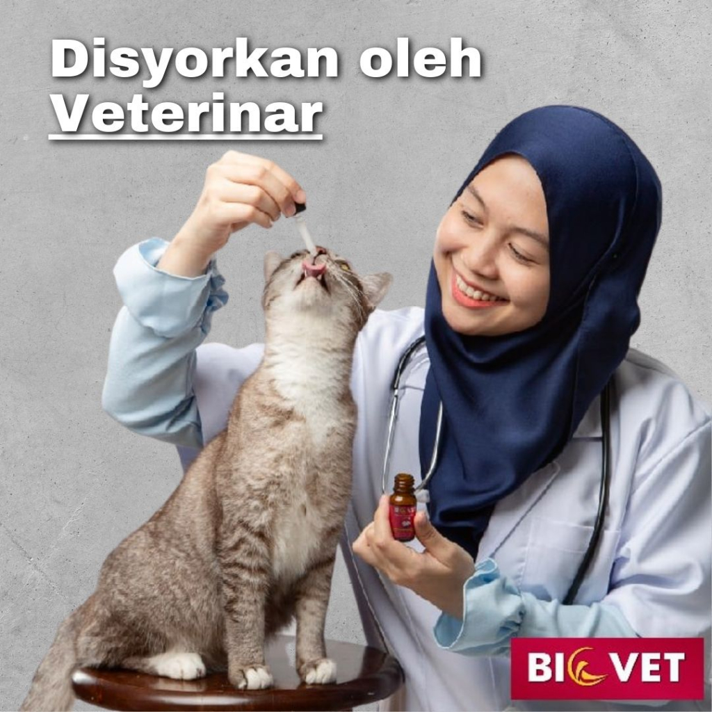 Biovet Immun Booster Original Hq Ubat Cacing Kucing Biovet Immune Booster Ubat Sporo Kucing ...
