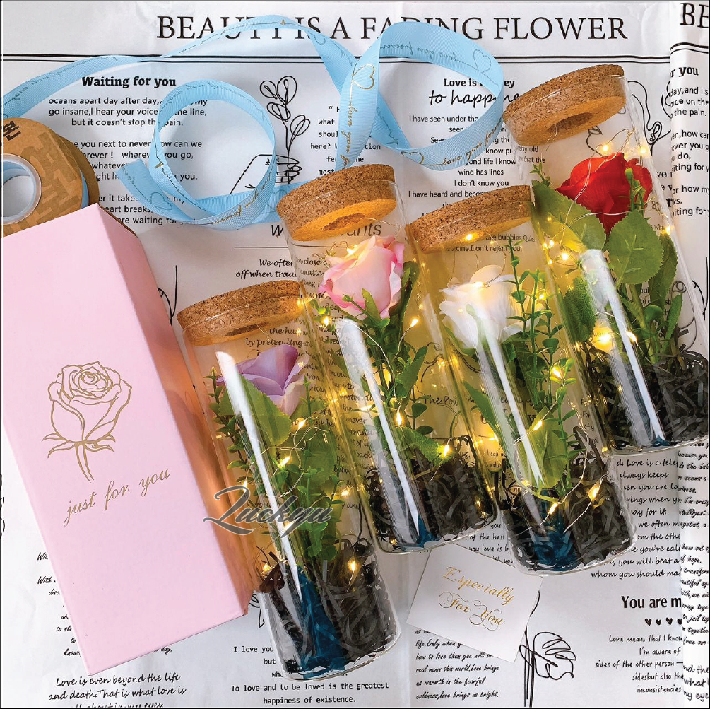 Bottle Flower rose in glass Bottle gift present dome valentines roses ...