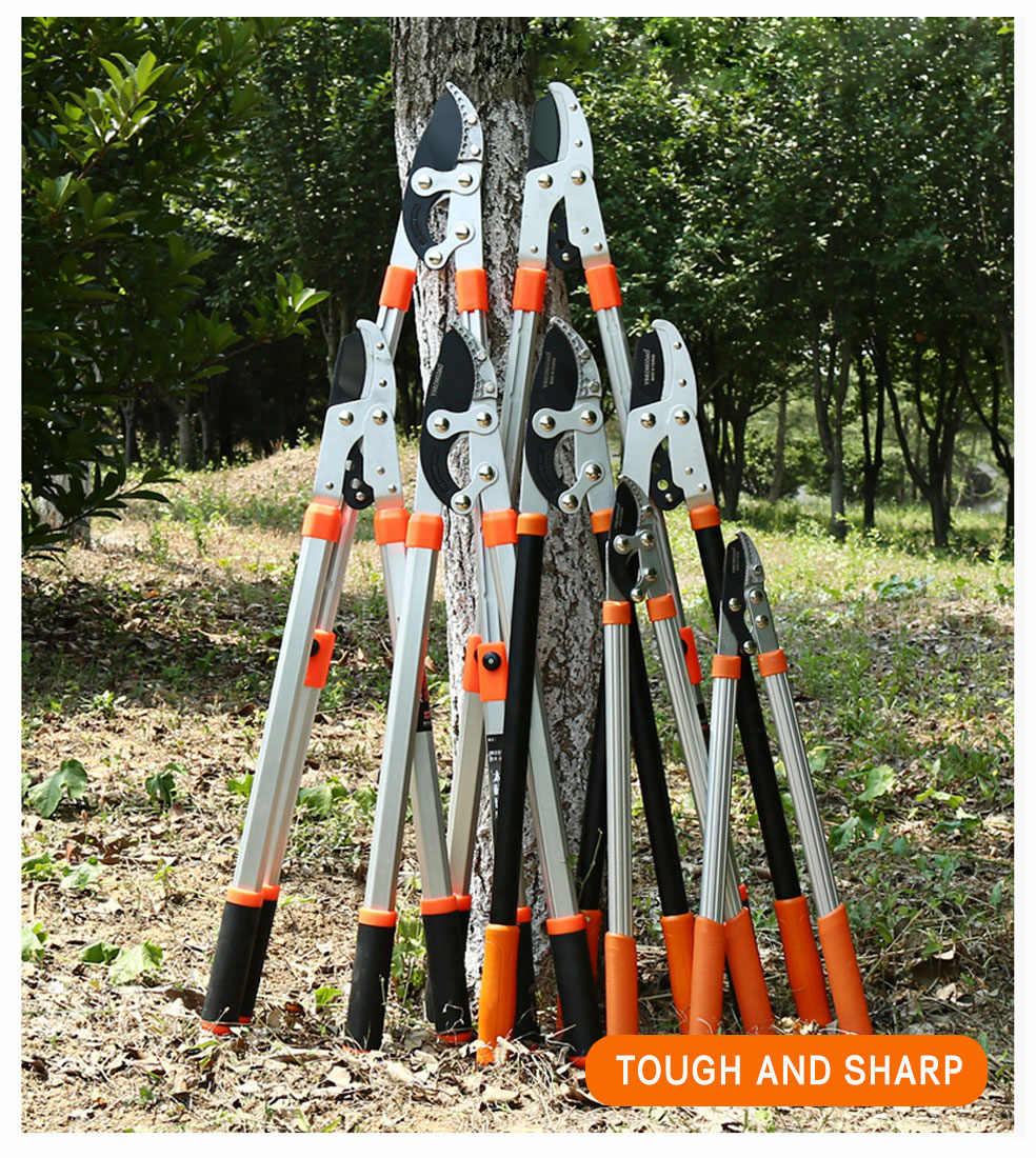 Telescopic Tree Cutter Branch Pruning Scissors Garden Plant Lopper ...