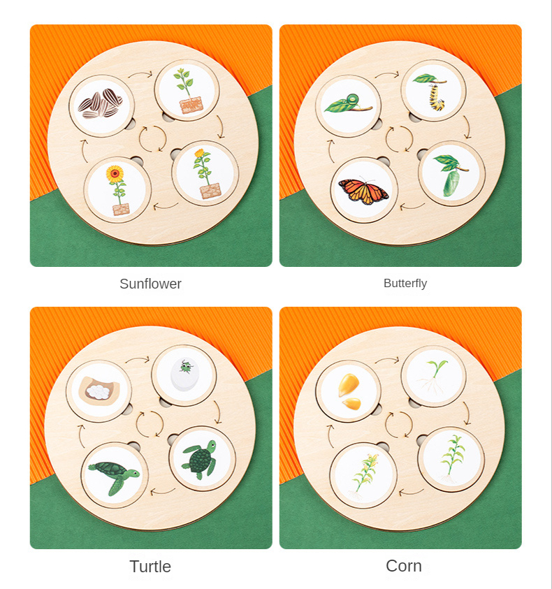Montessori Life Cycle Puzzle Board Kit Life Cycle Puzzle Kit of Animals ...