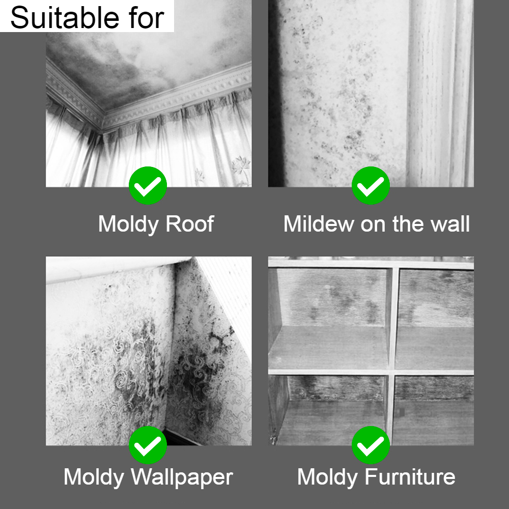 Mold Remover Bersih Kulat Wall Ceramic Tile Corner Mildew Remover Mold ...