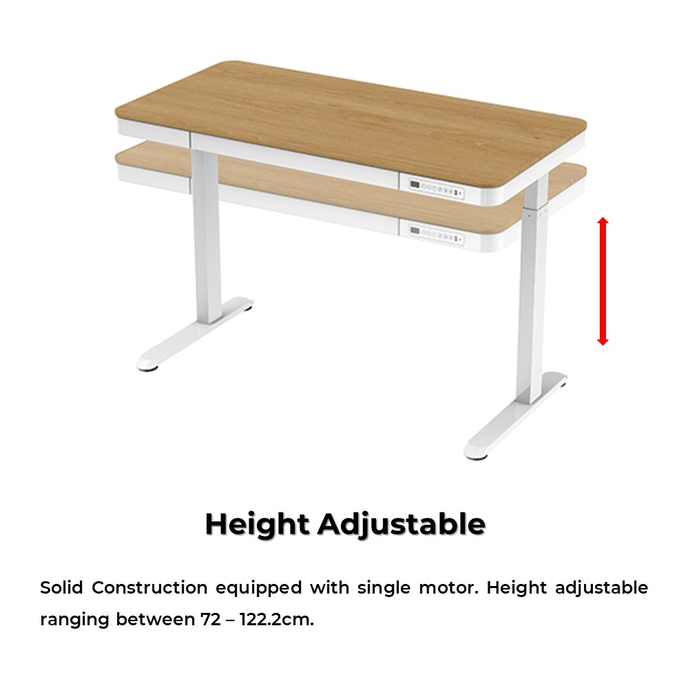 Loctek ET120&ET119W-C 120cm Height Adjustable Electric Office Computer ...