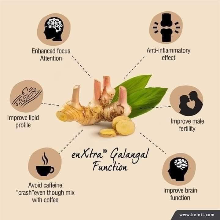 BEYANG CAFFE NATURAL CAFFE 100% ARABICA ROBUSTA COFFE BEANS WITH ...