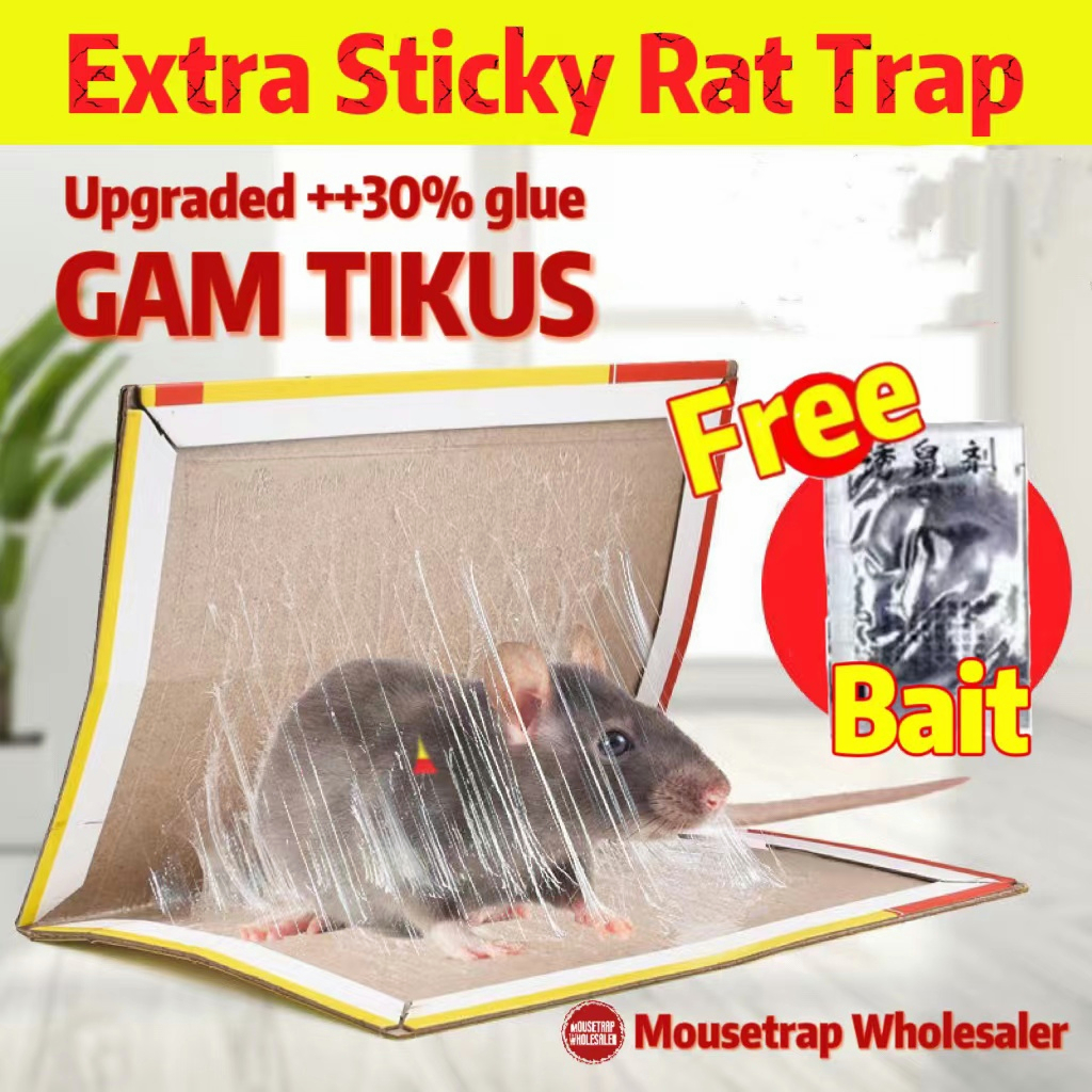 🔥BUY10 FREE 1🔥Strongly Adhesive Glue Perangkap Tikus Gam Tikus Glue ...
