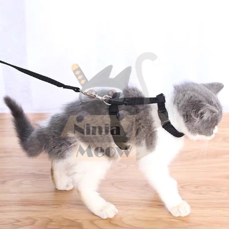 Tali Kucing Berjalan Murah Pet Harness Lead Dog Harness Lead Cat Rope ...