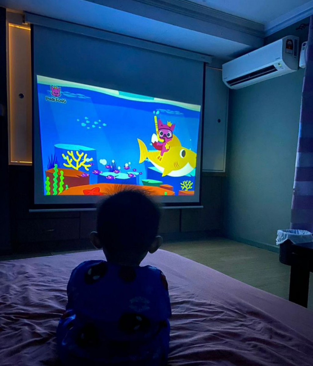 Skrin Projektor Manual Skrin Dinding / Projector Screen Manual Wall ...