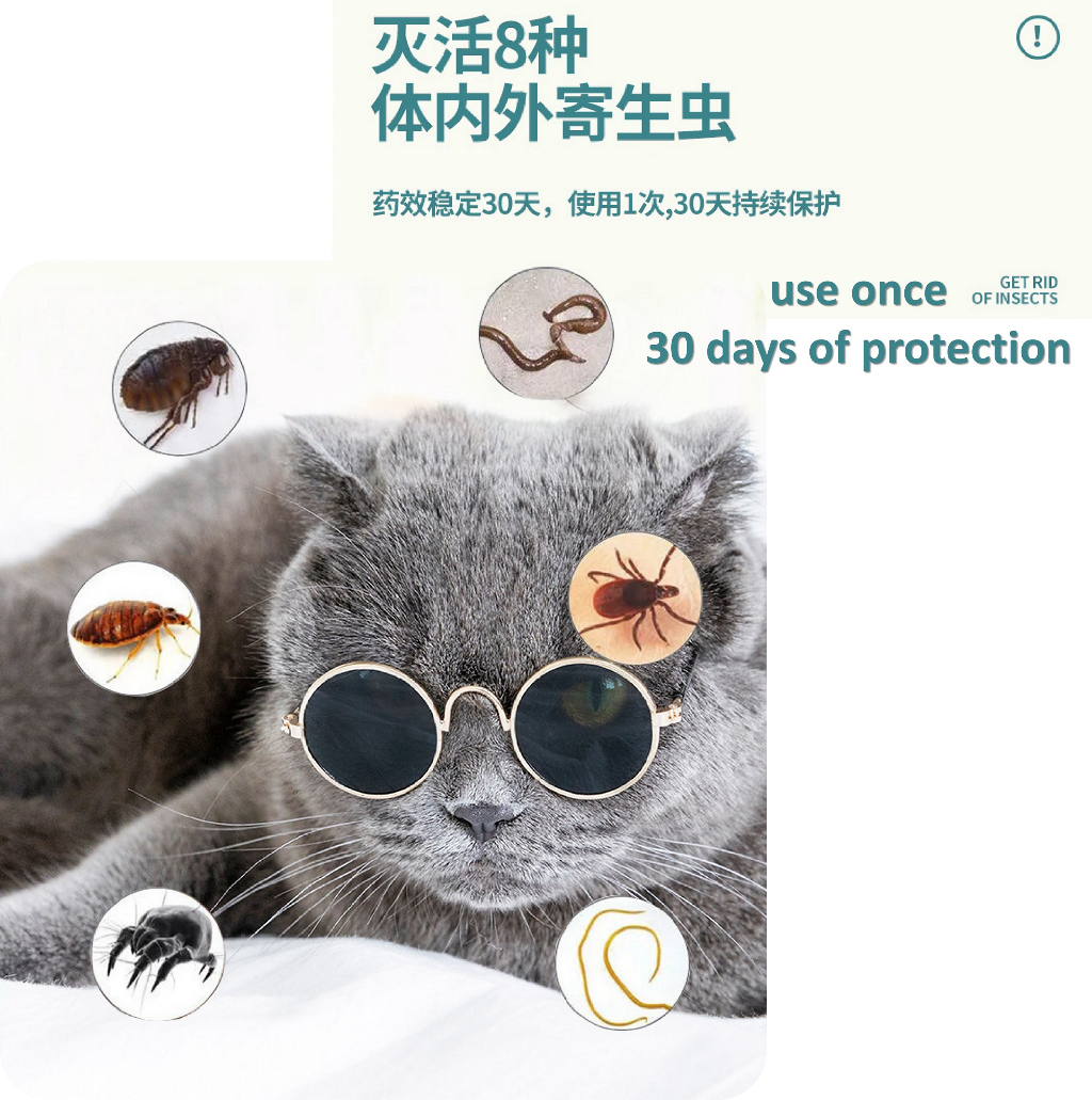 Produk Sokongan Penjagaan Bulu Kucing & Anjing (0.5ml x 3) / Spot-On ...