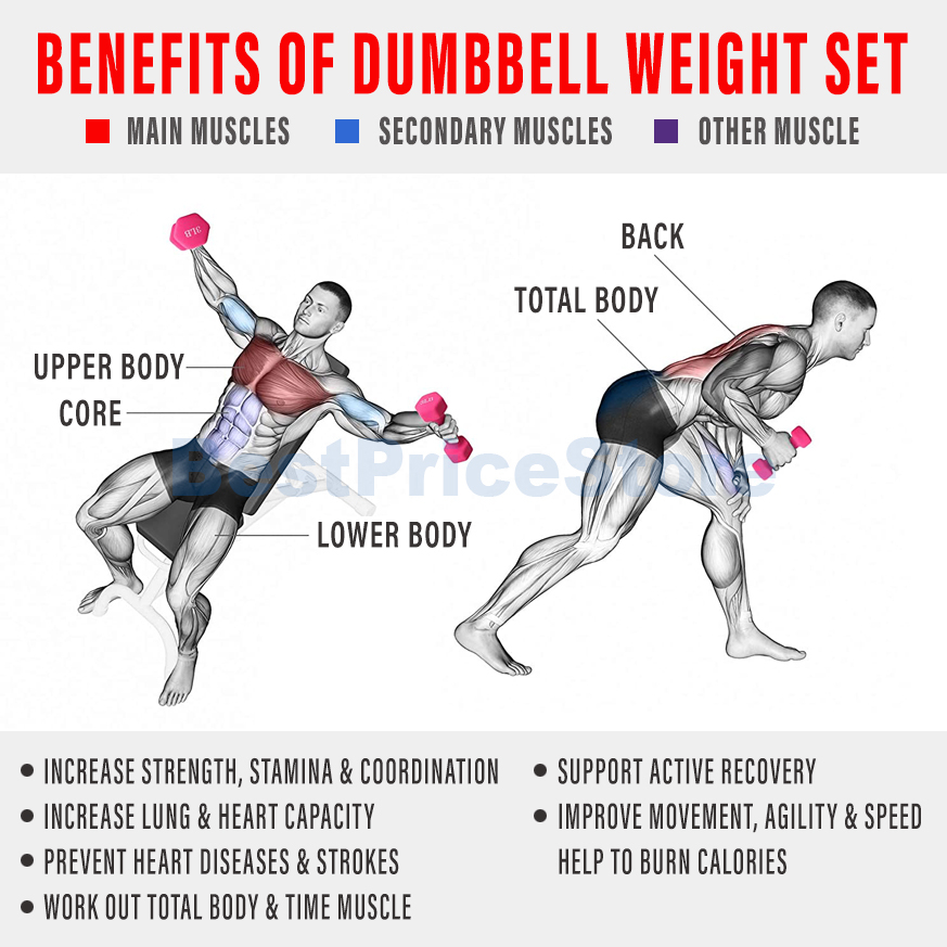 BPS FEXPERT 1pair 2-5kg Neoprene Matte Dumbbell Coated Hexagon ...
