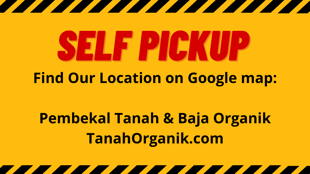 Sekam Padi Mentah Guni Rice Husk Rice Hull Membaiki Pengudaraan ...