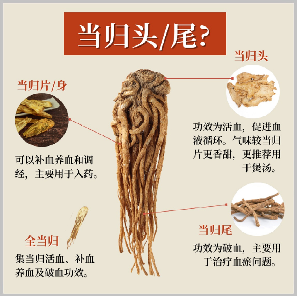 【40G/100G/300G】 Dang Gui Whole Piece / Angelica Sinesis / Danggui / Dong kuai 全归片 当归 当归片 ...