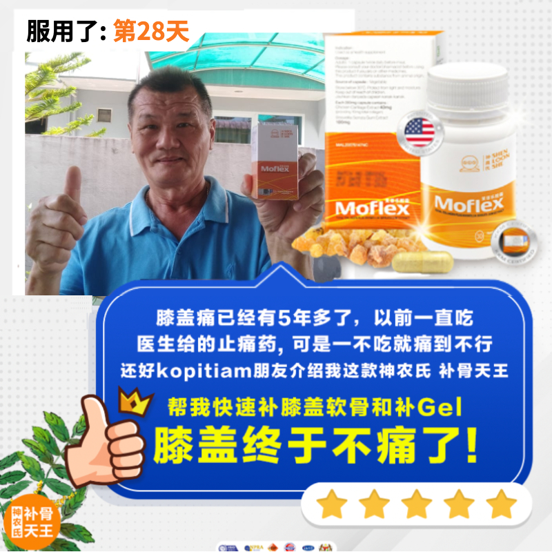 【SLS】Moflex Plus Total Collagen Boswellia Serrata Gum Extract Knee Pain ...