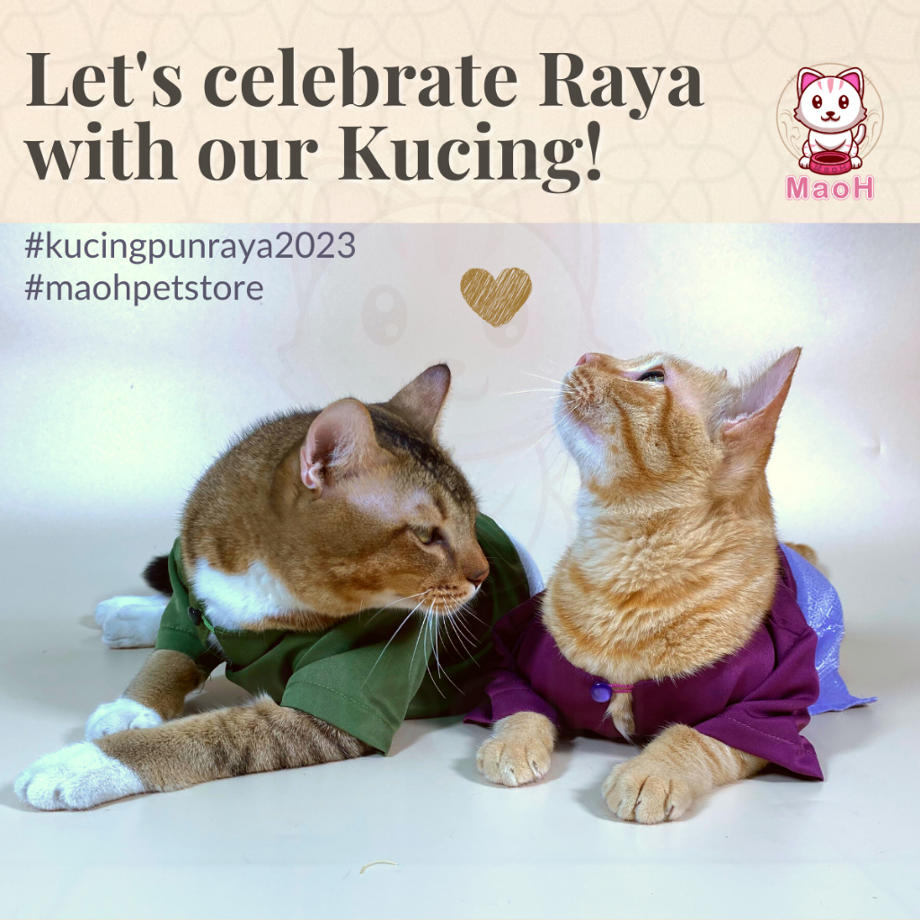 MaoH Baju Raya Kucing 2025 (Ready Stock) Cat Clothes Melayu Sedondon ...