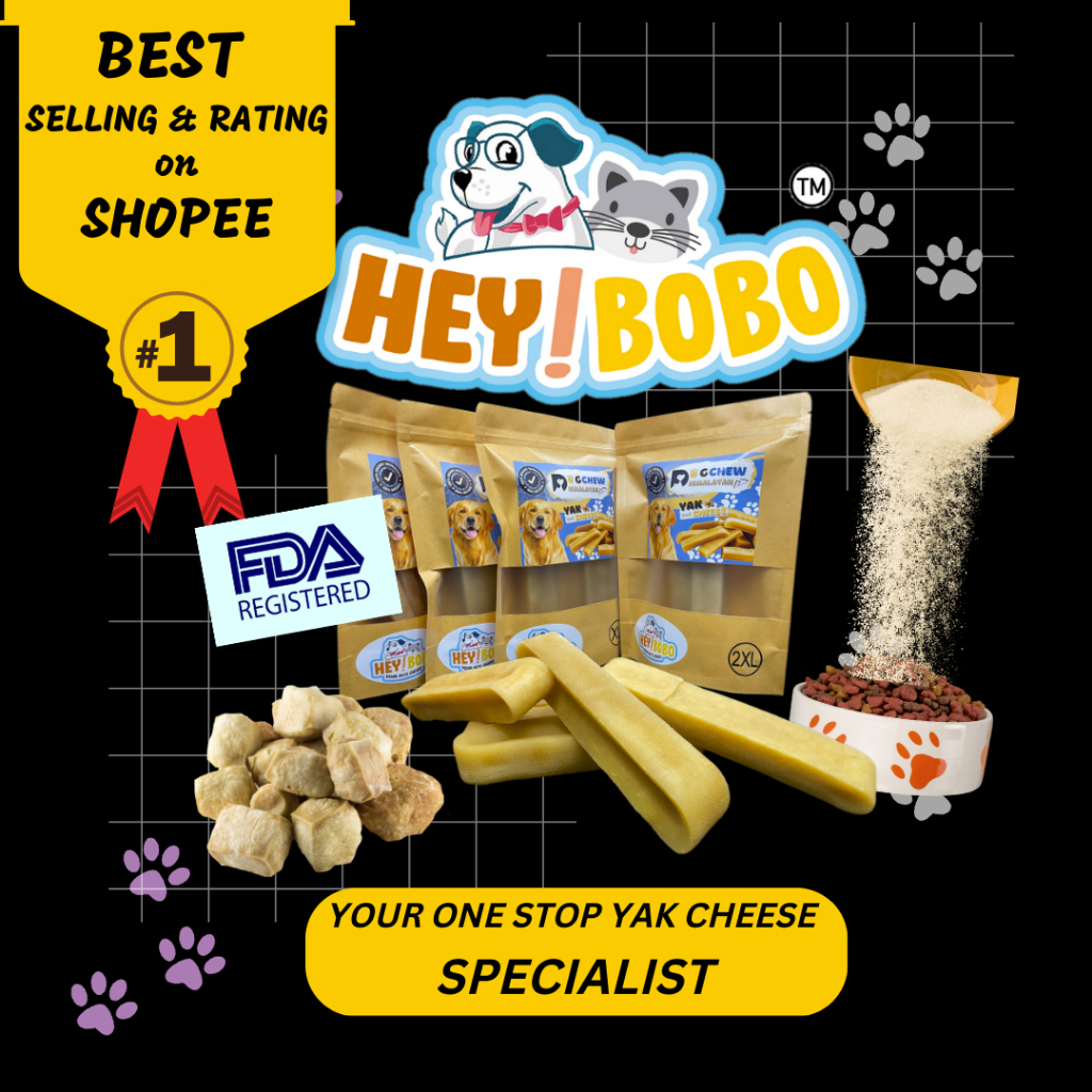 [HEY!BOBO] 🔥BEST SELLER🔥 Himalayan Yak Cheese Dog Chew Natural Dental Hard Treat Import Nepal ...