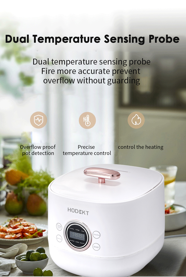 HODEKT Multi Cooker Periuk Nasi Elektrik Mini Rice Cooker Smart 2L Non ...