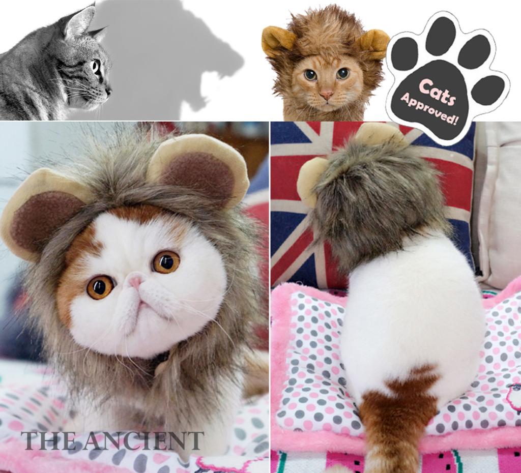 Lion Mane Cat Hat, Mainan Kucing Singa Topi - Funny Pet Head Halloween ...