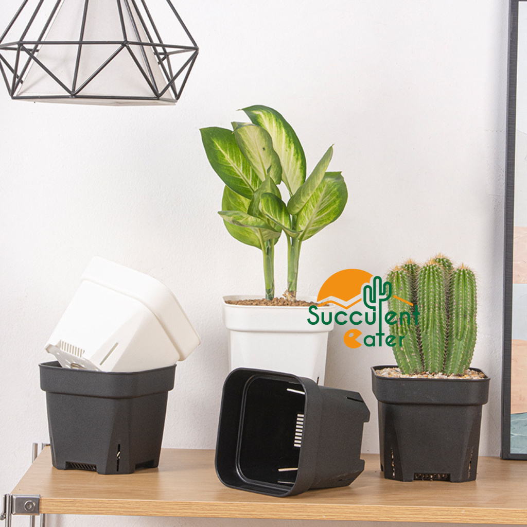 Thick Square Flower Pot Succulent Cactus Plastic Plastik Pasu 塑料花盆 ...