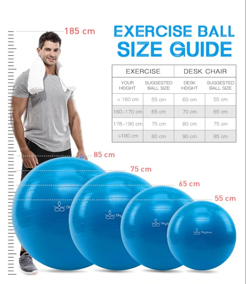 95cm YOGA BALL FREE PUMP Home Gym Equipment Gym Fitness Exercise 25/45 ...